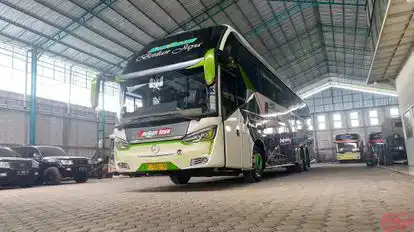 Tiket Bus Berlian Jaya | Lebih Murah Dari harga Loket | Diskon 25%