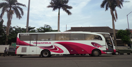 Pesan Tiket Bus New Shantika Jakarta Online - redBus.id